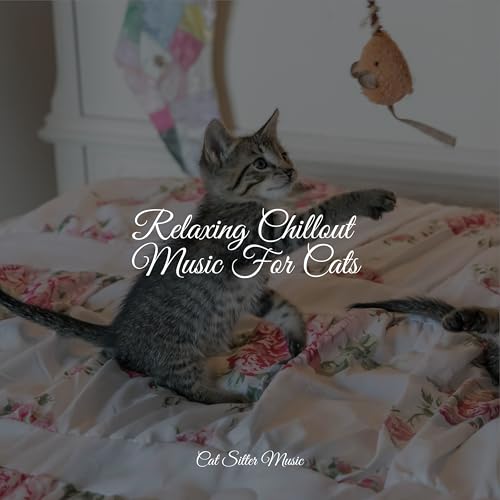 Amazon Music - Cats Music ZoneのRelaxing Chillout Music For Cats ...