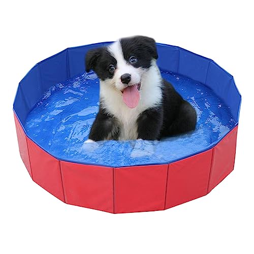 Making a Splash: Dive into the Top 10 Pet Pools for Summer Fun - Furry ...