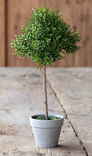 Buy Park Hill Collection Artificial Potted Thyme Topiary Online at Low ...