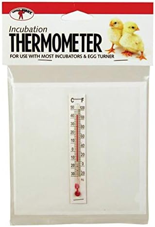 Amazon.com: Little Giant® Incubator Thermometer Kit | Temperature ...