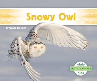 Snowy Owl (Arctic Animals): Hansen, Grace: 9781532188909: Amazon.com: Books