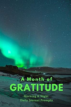 A Month of Gratitude: Morning & Night Daily Journal Prompts: Aurora ...