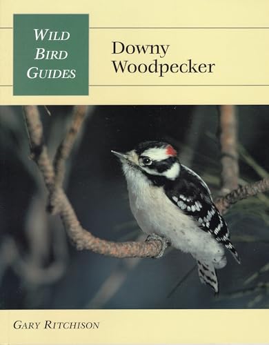 10 Best bird field guides