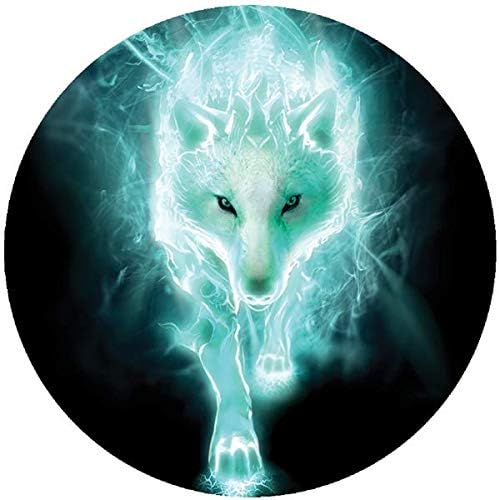 Reflektierende Aufkleber für Helm Wolf Neon : Amazon.de: Auto & Motorrad