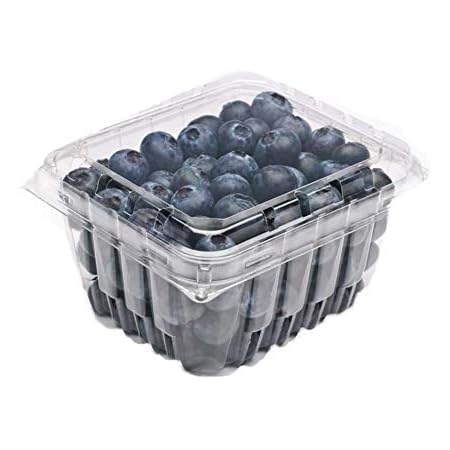 Amazon.com: 35 PACK - Plastic Berry Basket/Produce Containers - Pint ...