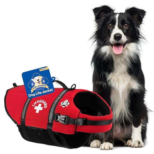 Dog Pfd – The 15 best products compared - Wild Explained