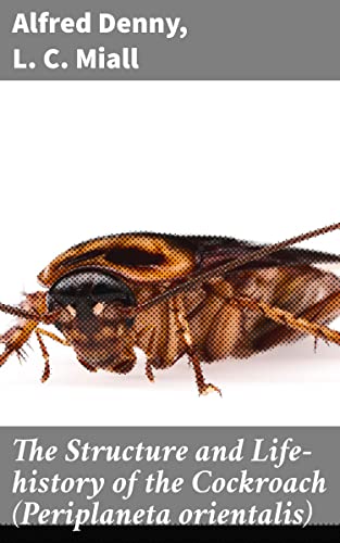The Structure and Life-history of the Cockroach (Periplaneta orientalis ...
