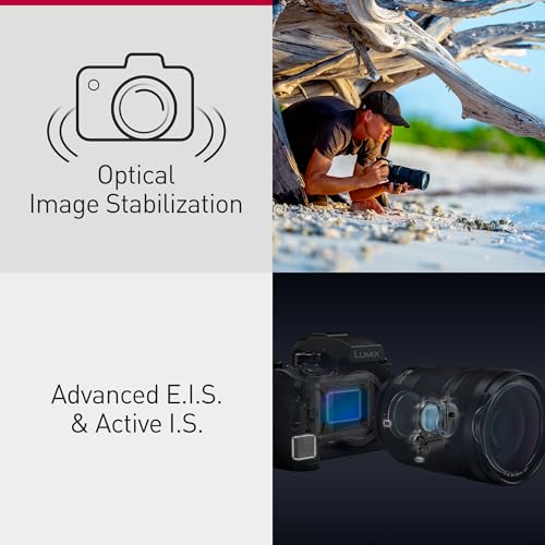 13 Best Focus Stacking Cameras 2025: Analysis + Macro Lenses - PhotoWorkout