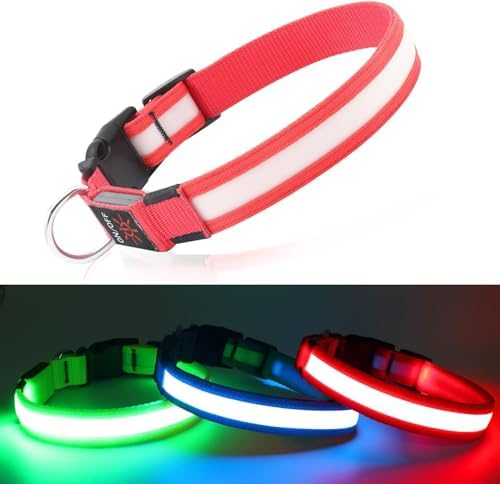 Amazon.com : LED Dog Necklace Collar - USB Rechargeable Loop ...