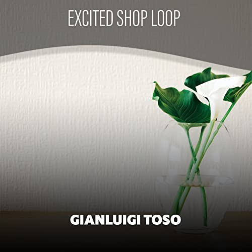 Amazon.co.jp: Excited Shop Loop : Gianluigi Toso: デジタルミュージック