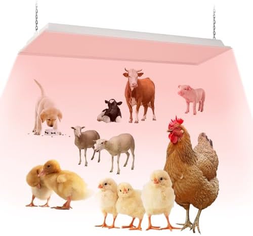 Amazon.com: 40"x11" Large Overhead Infrared Heater, 150W Chick Brooder ...