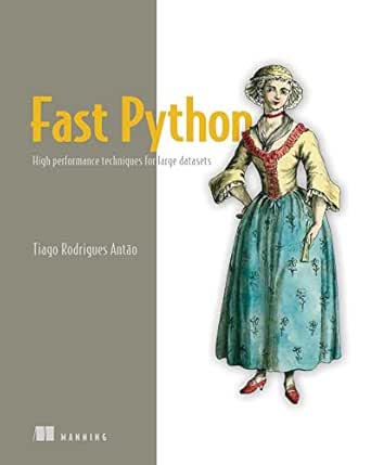 Fast Python: High performance techniques for large datasets (English ...