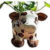 Amazon.com : glylo Highland Cow Planter Pot, 2024 Cute Highland Cow ...