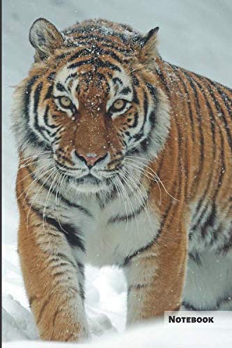 Tiger Notebook: Unique Planner, Journal, for a gift (Blank pages with a ...