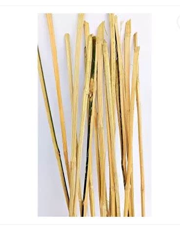 FINDLINE Bamboo Sticks for All Kinds Plants Support Sticks (Set of 20 ...