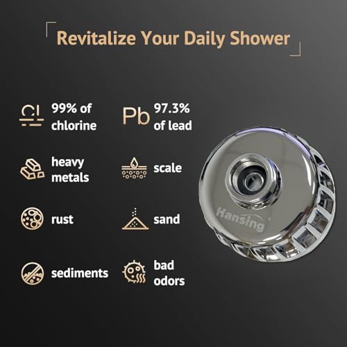Hansing Shower Filter for Hard Water Output High Pressure, Clog-Proof ...