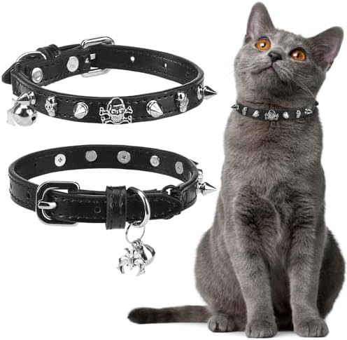 Pet Supplies : EXPAWLORER Cat Collar for Girl Boy Cats- Adjustable ...
