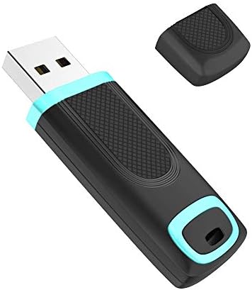 RAOYI 256GB USB Stick USB 3.0 Flash Drive Up to 100MB/s Read Thumb ...