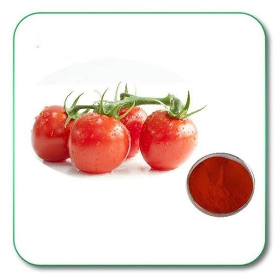 Buy Shrisha Organic Lycopene Extract Powder-500gm Pack. Pure Natural ...
