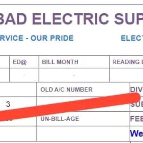 Amazon.com: LESCO BILL CHECK: A COMPLETE PROCESS : Zoey William ...