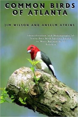 Common Birds of Atlanta: Jim Wilson, Anselm Atkins: 9780966724004 ...