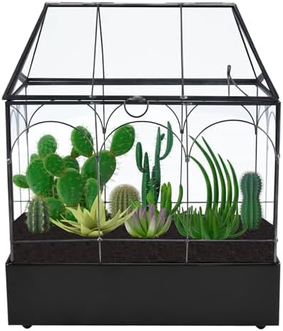 Large Tall Glass Plant Terrarium – Decorative House Glass Terrarium ...