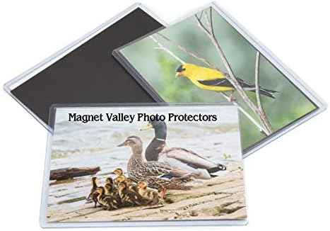 Amazon.com : 5 Magnetic Photo Protector Sleeves 8.5" x 11" Document ...