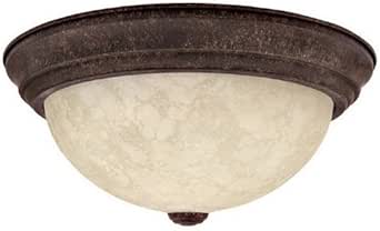 Capital Lighting Spotlights 2735 3 Light Ceiling Fixture Tortoise ...