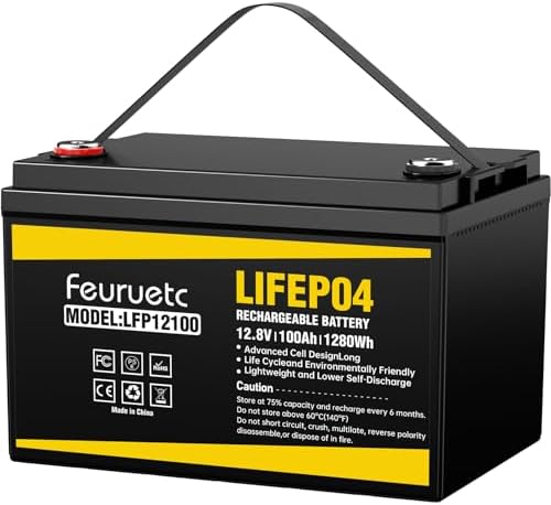 Amazon.com: 12V 100Ah LiFePO4 Marine Battery with Low-Temp Protection ...