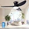 Amazon.com: ACFBGFV Ceiling Fans with Lights Remote Control, Modern Low ...