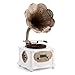Amazon.com: Retro Phonograph Record Player Bluetooth Speaker with with Copper Horn Nostalgic ...