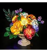 Amazon.com: LocoLee LED Light Kit Compatible with Lego Minecraft The ...