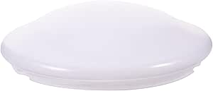Milisten Flush Mount Ceiling Light Cover Modern 22.6cm Ceiling Light ...