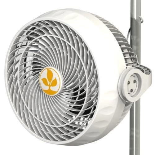 Monkey Fan – Die 15 besten Produkte im Vergleich & Angebote ...
