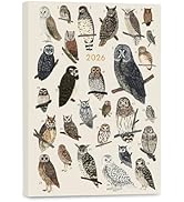 Amazon.com : High Note 17-Month Planner August 2023-December 2024 ...