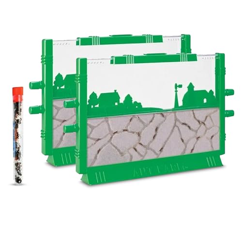 Top 10 Ant Farm With Queen of 2022 - Katynel