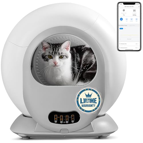 Automatic Litter Box – The 15 best products compared - Wild Explained