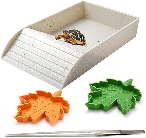 Amazon.com : Tortoise Food Water Dish with Ramp: Reptile Feeding Dish ...