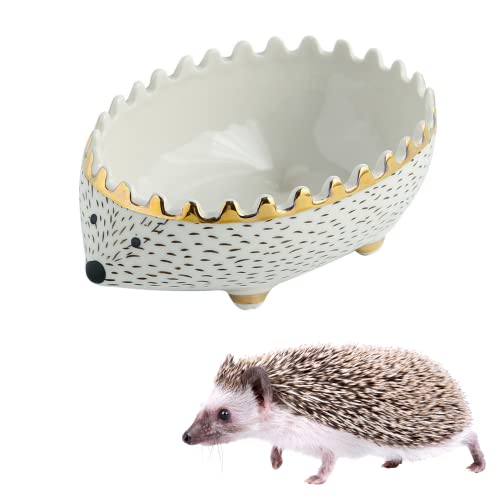 Amazon.com New Releases: The best-selling new & future releases in ...