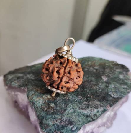 Empirical Jewels Real Ek Mukhi Rudraksha Original Certified Igl Round 1 ...