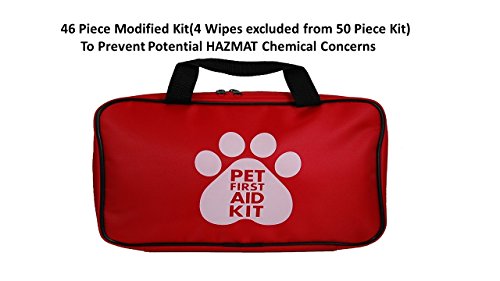 7 Best Dog First Aid Kit Options for Pet Emergencies (2020 Reviews)