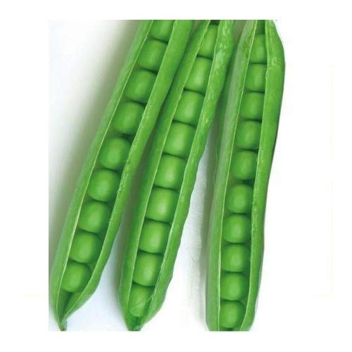 Creative Farmer Vegetable Seeds Vatana/Mutter Seeds - Peas Seeds Home ...