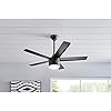 Amazon.com: Merwry 48 in. Integrated LED Indoor Matte Black Ceiling Fan ...