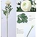 Amazon.com: Artificial Ranunculus Flowers with Real Touch Stem, Silk ...