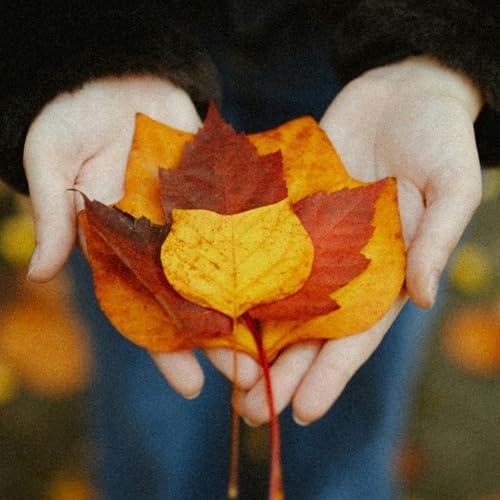 That's What Forgetting's For by Mike Sisk on Amazon Music Unlimited