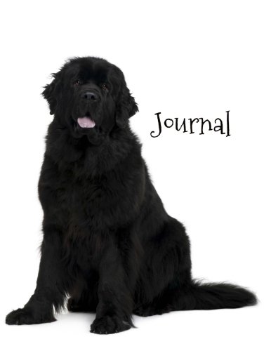 Journal: Newfoundland Dog A4 : Publications, Dreamflight: Amazon.in: Books