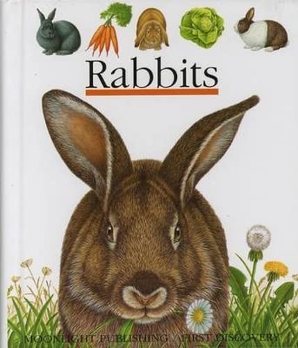Rabbits: No. 69 (First Discovery Series) : De Hugo, Pierre: Amazon.in ...