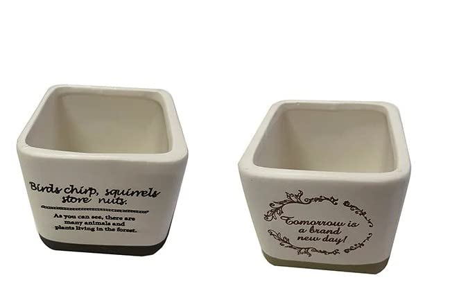 Daiso Japan Flower POTS Set of 2 : Amazon.in: Garden & Outdoors