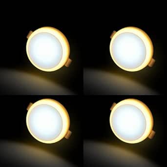 Buy D'Mak 12W+12W Twins LED Double Color Deep Junction Box Down Light ...