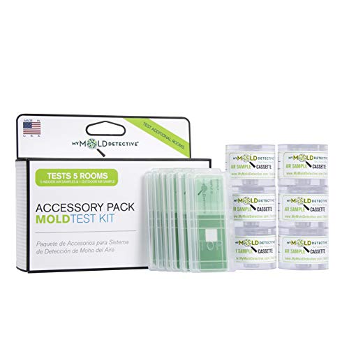 Best Mold Detection Device: A Reliable Solution for Your Home - Totally ...